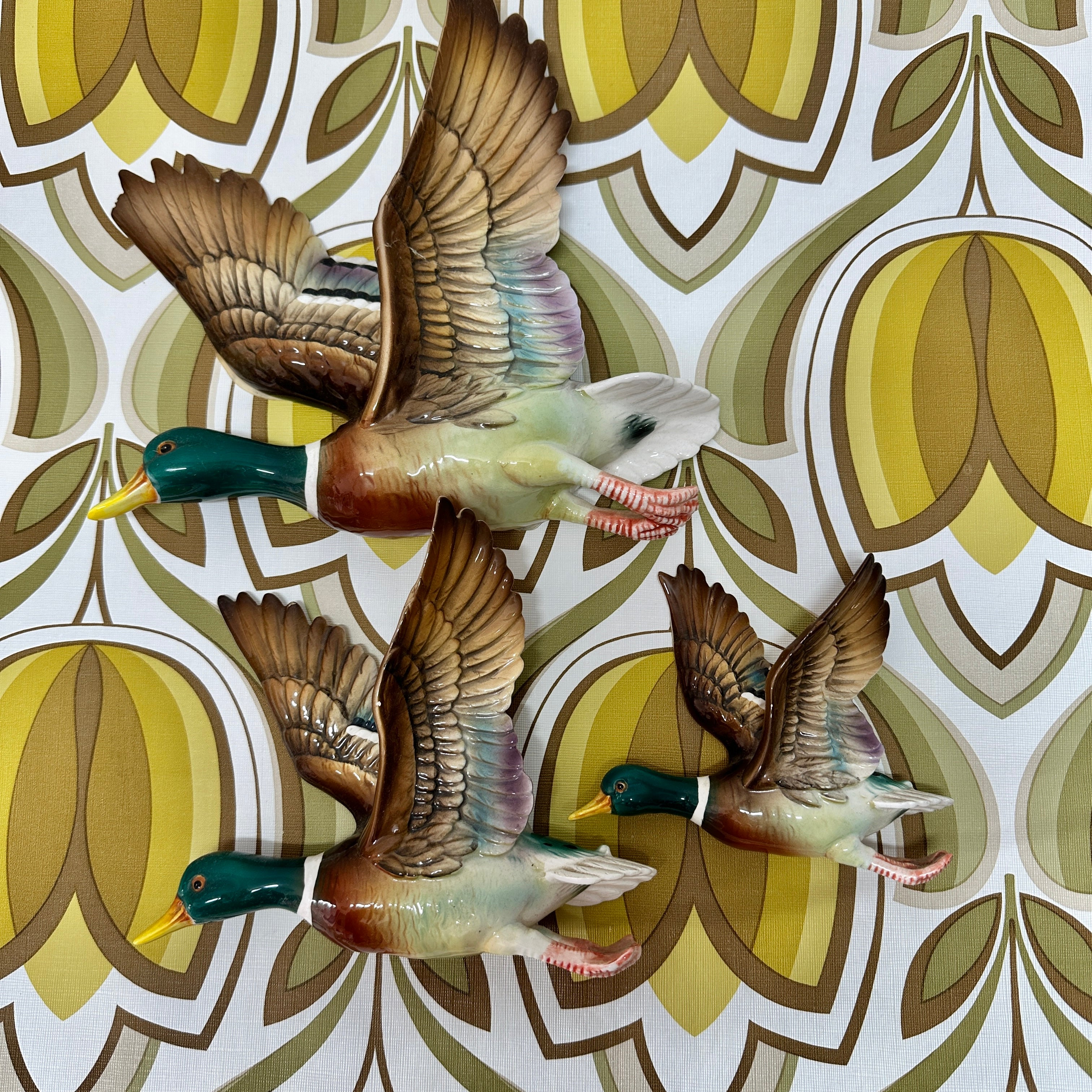 Vintage Wall Birds RETRO Ducks – Pink Peacock