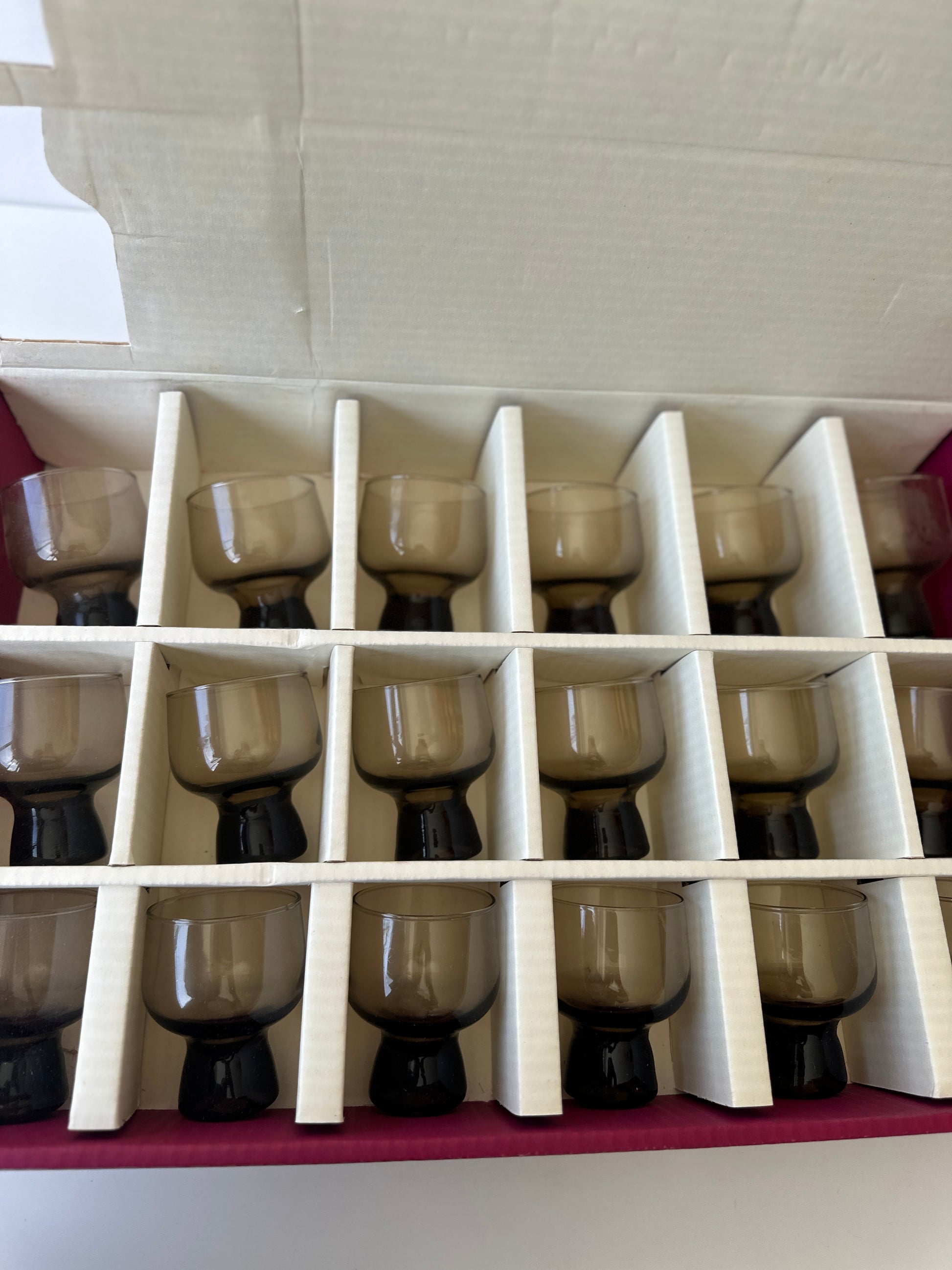 RETRO Set of 18 Kaaru Glasses Entertainer – Pink Peacock