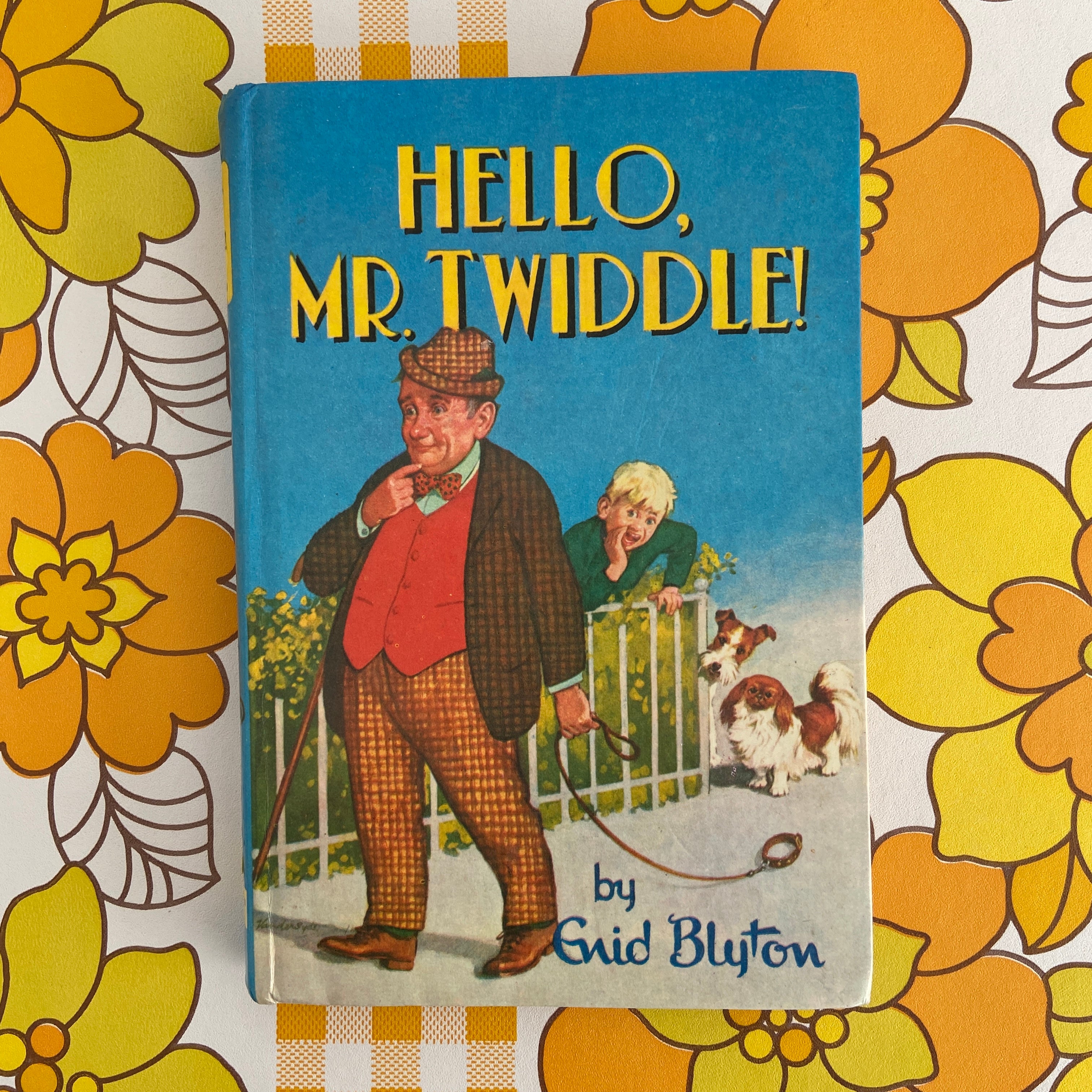 ENID BLYTON Hello Mr Twiddle Hard Cover – Pink Peacock