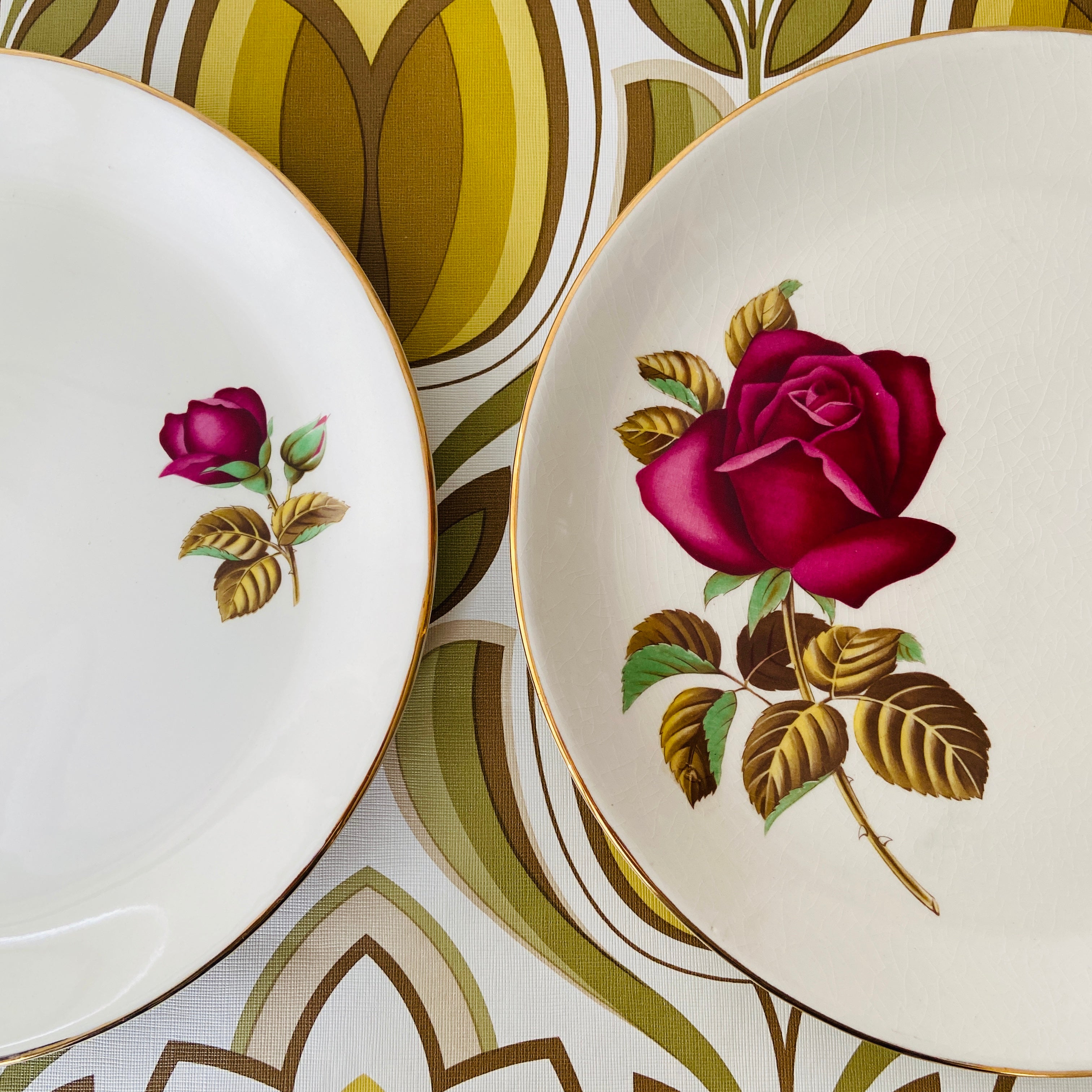 SWINNERTONS Roses Pair LARGE Plates – Pink Peacock